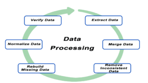 What are the 4 stages of data processing: A Complete Guide
